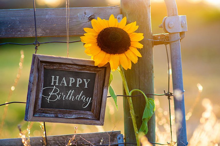 Sunny Birthday - Lavish Cards - Fine Art Corporate Greeting Cards